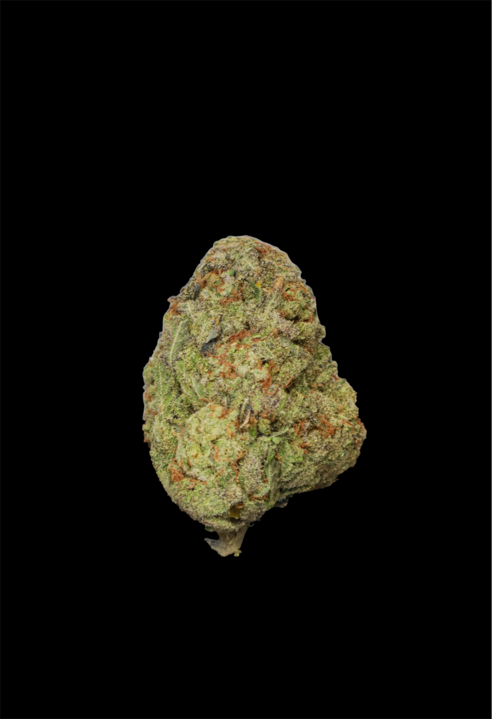 Maui Wowie THCa [Sativa] | Tennessee Hemp Care
